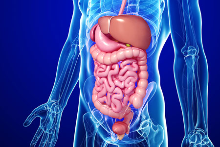 Gastroenterology - Ochsner Rush Health