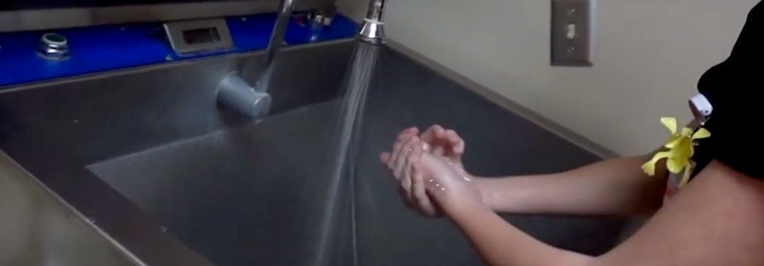 Summer Time Precautions - Ochsner Rush Health Summer Time Precautions - Ochsner Rush Health